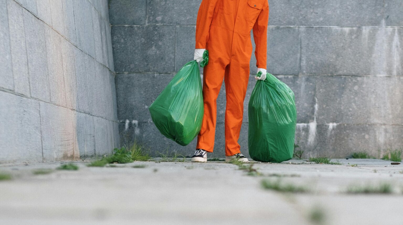 Garbage Bag Color Code Guide—Understand Black, Green, Blue & Red Bags ...